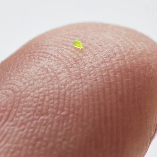 Microscopic Handbag Sells for $63,750: The Ultimate in Bag ...