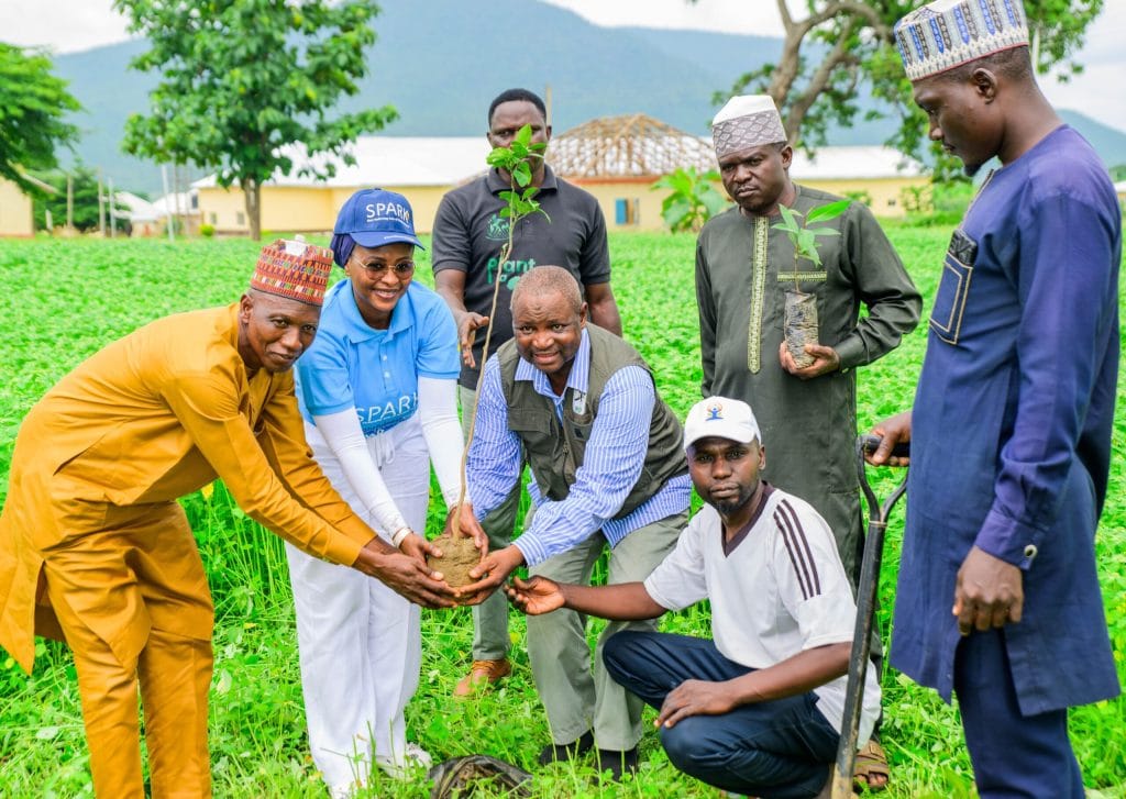 FirstBank Collaborates With NCF To Plant Trees In FCT, Improving ...