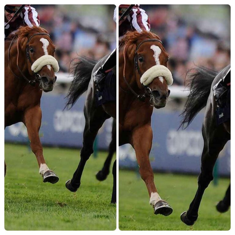 Lagos Releases Schedule for Historic First-ever Grand Horse Race ...
